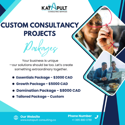 Custom Consultancy Projects - Katapult Consulting Services